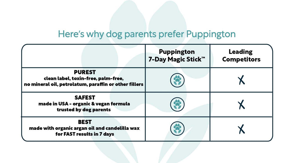 Puppington Limited Edition 7-Day Magic Stick™ Dog Nose Balm and Paw Ba