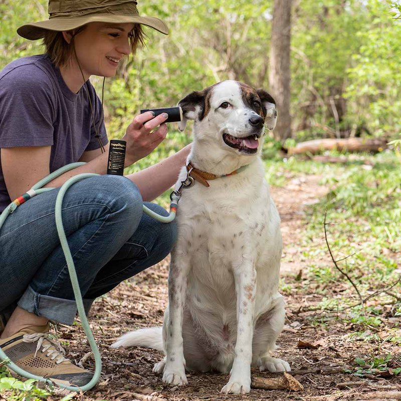 Puppington Limited Edition 7-Day Magic Stick™ Dog Nose Balm and Paw Ba