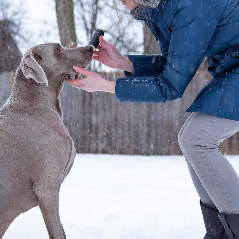 Puppington Limited Edition 7-Day Magic Stick™ Dog Nose Balm and Paw Ba