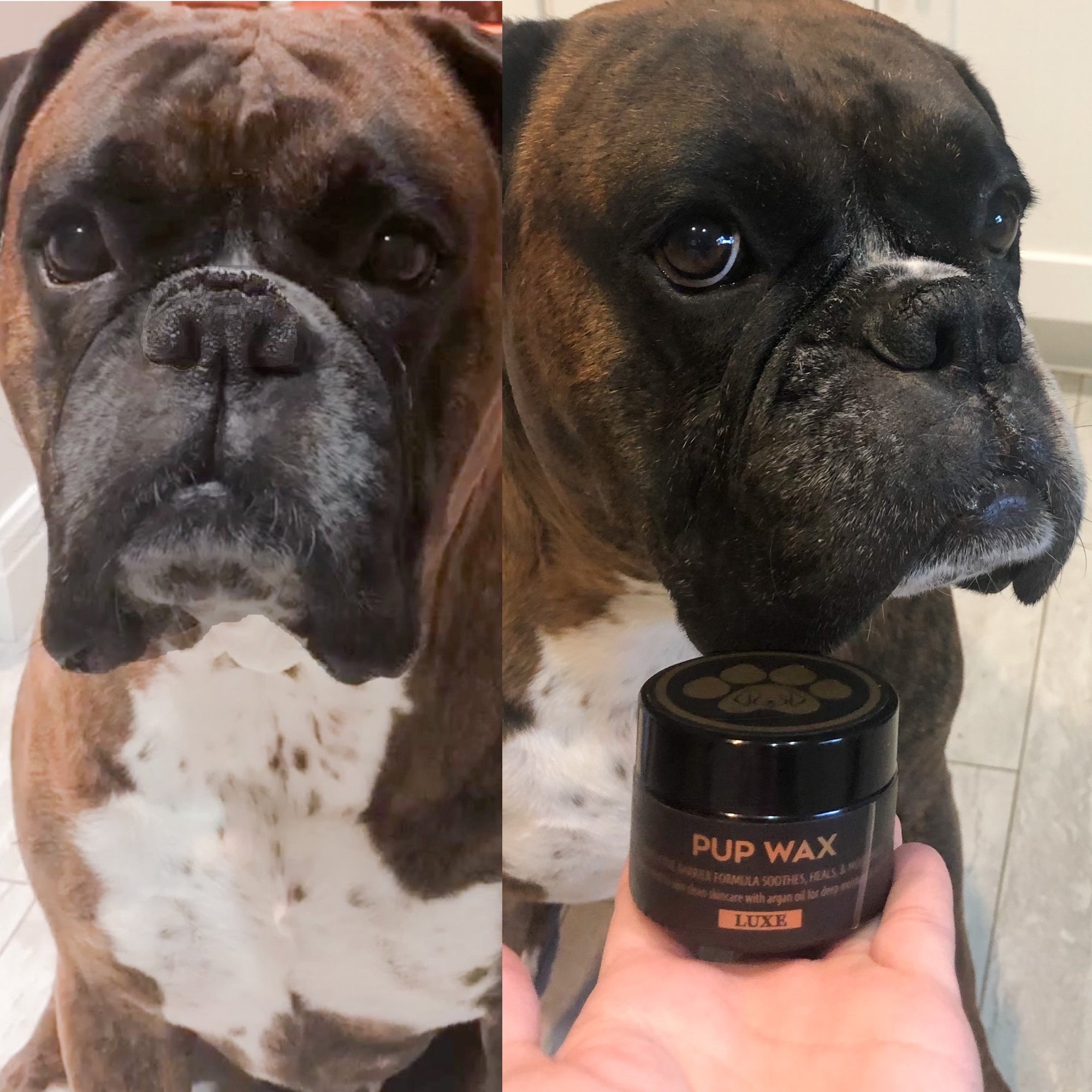 Puppington Limited Edition 7-Day Magic Stick™ Dog Nose Balm and Paw Ba